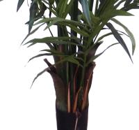 China H210cm Artificial Tropical Tree , Artificial Kentia Palm Tree For Indoor Decoration for sale