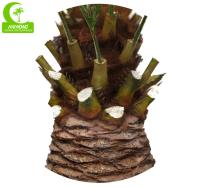 China Aesthetic Height 280cm Artificial Tropical Tree For Office Decoration for sale