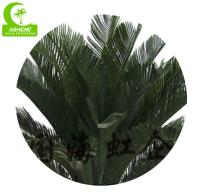 China PE leaf H100cm Artificial Tropical Tree, Artificial Cycas Palm For Indoo Outdoor for sale