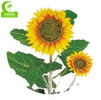 China Fire Retardant 170cm Height Real Touch Artificial Flowers For Office Decoration for sale