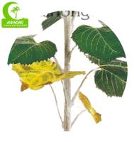 China Fire Retardant 170cm Height Real Touch Artificial Flowers For Office Decoration for sale