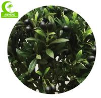 China Anti Aging 110cm High Artificial Foliage Tree , Olive Tree Faux Plant Realistic for sale