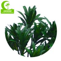 China All Season Anti UV Lifelike Fake Tree Branches With Leaves HAIHONG for sale