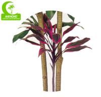 China Wholesale Stunning 220cm Artificial Dracaena Tree Space Decor For Indoor Decoration for sale