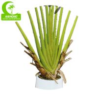 China Beautiful 280cm Artificial Traveller's Palm Large Size Plant Garden Landscaping And Indoor Decor for sale