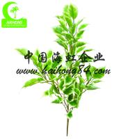 China Wholesaler Popular Beautiful 165cm Artificial Variegated Ficus Tree Indoor Decor And Space Landscaping for sale