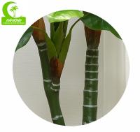 China Indoor Decorative 180cm Artificial Diffenbachia Plant Big Green Leaves For Space Landscaping for sale