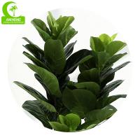 China Factory Wholesale 155cm Artificial Silk Fiddle Leaf Fig Tree Green Plant For Indoor Decor for sale