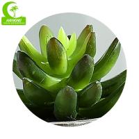 China Green Real Touch 11.5cm Artificial Succulent Plant For Desktop for sale