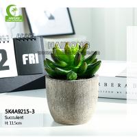 China Green Real Touch 11.5cm Artificial Succulent Plant For Desktop for sale