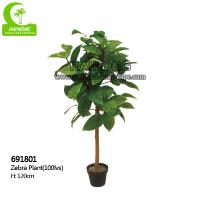 China Good-Looking Homesense Artificial Plants Artificial Zebra Plant Garden Decor for sale