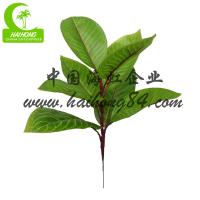 China Good-Looking Homesense Artificial Plants Artificial Zebra Plant Garden Decor for sale
