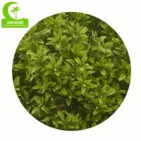 China Anti Fading Aesthetic H90cm Artificial Topiary Tree For Restaurant for sale
