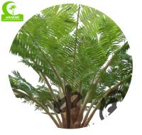 China Realistic HAIHONG 230cm Height Artificial Tropical Tree For Theme Park for sale