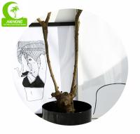 China Hot Selling Stunning Artificial Decorative Plant Artificial Olive Trees For Sale Indoor Decor for sale