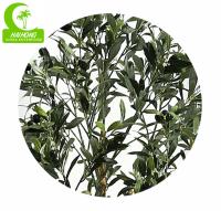 China Hot Selling Stunning Artificial Decorative Plant Artificial Olive Trees For Sale Indoor Decor for sale