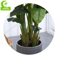 China HAIHONG High Simulation Artificial Potted Floor Plants 160cm for sale
