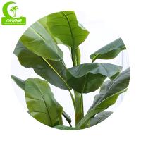 China HAIHONG High Simulation Artificial Potted Floor Plants 160cm for sale