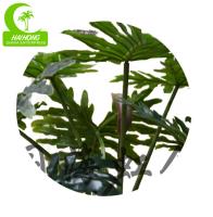 China High Simulation 120cm Artificial Landscape Trees ,  Artificial Split Philo Tree Handmade for sale