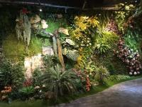 China Decorative Anti UV Vertical Greening , Artificial Plant Wall HAIHONG for sale