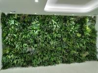 China Decorative Anti UV Vertical Greening , Artificial Plant Wall HAIHONG for sale