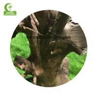 China Real Touch 130cm High Artificial Ficus Tree , Lifelike Artificial Palm Trees Durable for sale