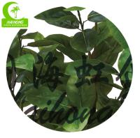 China Wiind Resistance Lifelike Artificial Potted Floor Plants 80cm for sale