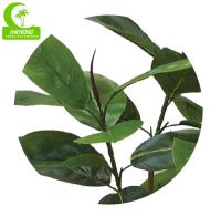 China Wiind Resistance Lifelike Artificial Potted Floor Plants 80cm for sale