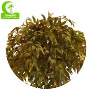 China Natural Look 160cm Artificial Ficus Tree For Garden Decoration for sale