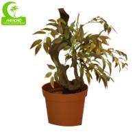 China Natural Look 160cm Artificial Ficus Tree For Garden Decoration for sale