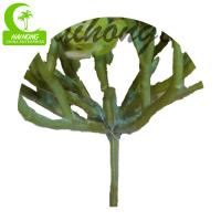 China Anti FadingNo Nursing Artificial Succulent Plant , Mini Fake Succulents 15cm for sale
