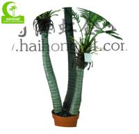 China Silk 2m Faux Palm Plant , Artificial Outdoor Tropical Plants For Decoration for sale
