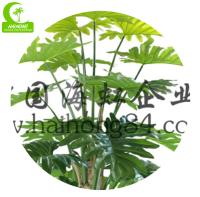 China Aesthetic H130cm Artificial Potted Floor Plants , Faux Agave Floor Plant Realistic for sale