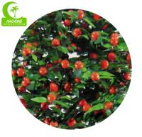 China Fashionable Anti Fading H160cm Fake Cherry Tree With Fruits for sale