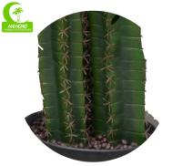 China Durable High Simulation 120cm Artificial Cactus Plants In Pots For Indoor for sale