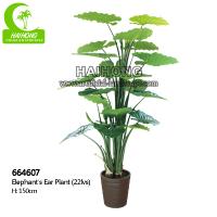 China HAIHONG 150cm Height Artificial Potted Floor Plants Good Looking for sale