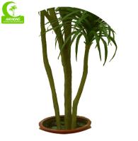 China Rain Resistant Handmade Artificial Dracaena Plant H350cm for sale