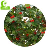 China Flame Retardant 280cm Artificial Camellia Tree , Indoor Silk Trees Durable for sale