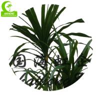 China Durable Height 140cm Artificial Potted Floor Plants Small Size for sale