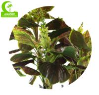 China Anti Fading Height 200cm Artificial Decorative Trees HAIHONG for sale