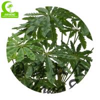 China Chinese Factory Handmade 200cm Artificial False Aralia Tree For Garden And Theme Park Decoration for sale