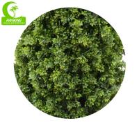 China Handmade H165cm Artificial Cypress Trees Outdoor With Single Trunk for sale
