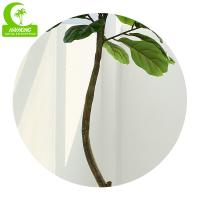 China Home Decoration Aesthetic Easy To Care Artificial Ficus Tree 1.6m for sale