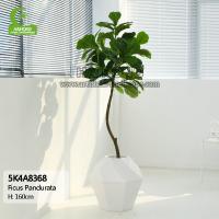 China Home Decoration Aesthetic Easy To Care Artificial Ficus Tree 1.6m for sale