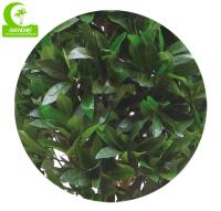 China Lifelike Anti UV 6ft Artificial Outdoor Trees , Artificial Bay Leaf Tree For Garden for sale