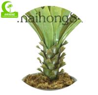 China Height 90cm Artificial Succulent Plant for sale
