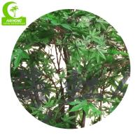 China Realistic Flame Retardant H200cm Artificial Maple Plant Good Looking for sale
