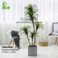 China Aesthetic 185cm Artificial Potted Floor Plants For Indoor Decoration for sale
