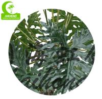 China All Season 270cm Artificial Dracaena Plant , Dracaena Silk Plant For Landscaping for sale