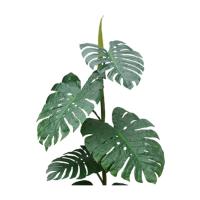 China Real Touch Good Looking 230cm Artificial Tree Branches With 7pcs Leaves for sale